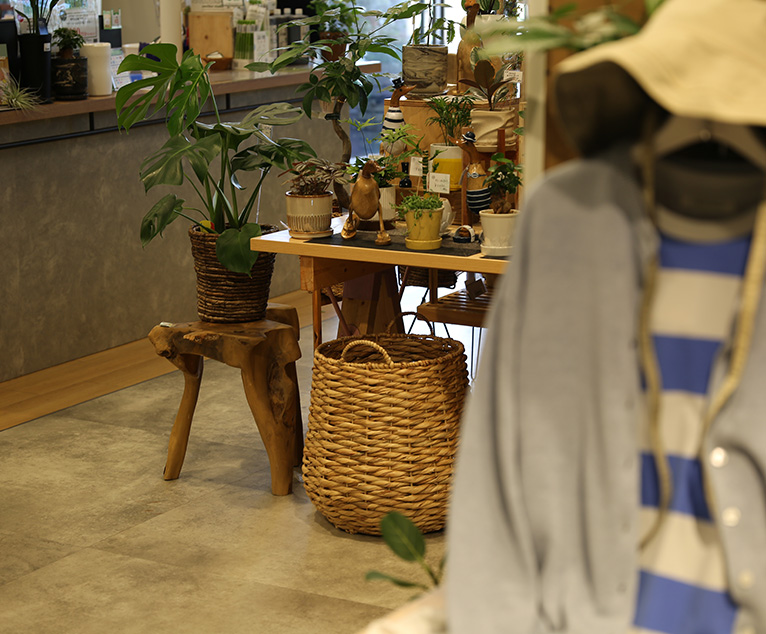 Matsudo - IN NATURALIN NATURAL
